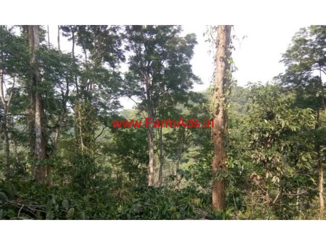 13 Acres Farm land for sale at Wayanad, Makkiyad Wayanad - FarmAds.in