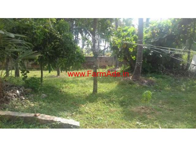 57 cents Agricultural land For Sale At Mudbelle, Udupi. Udupi - FarmAds.in