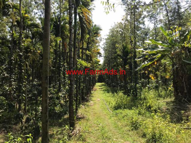 Small multi crop plantation for sale at Chikmagalur. Chikmagalur ...