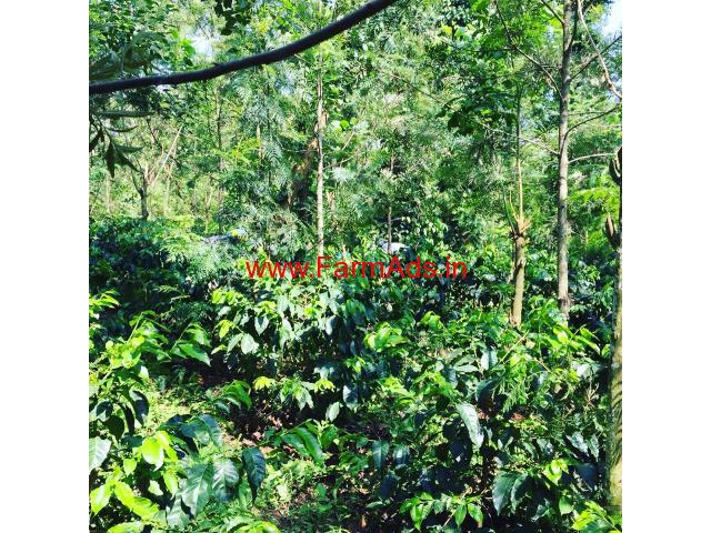 9 acre coffee estate for sale in arehalli , Belur taluk Belur - Hassan ...