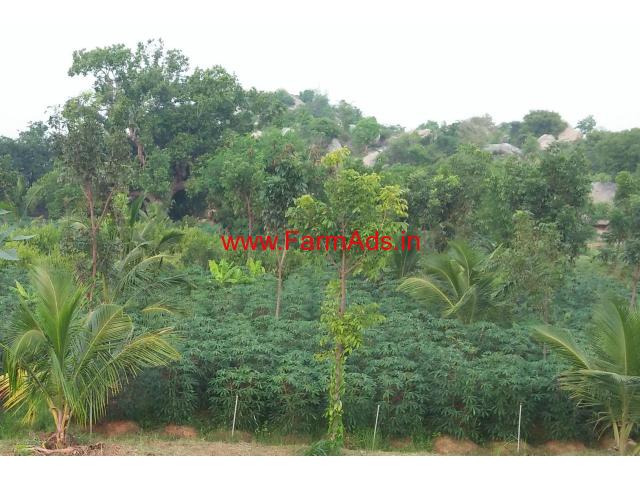 Farmland @ 34KM from Sarjapur on Berigai - KGF Road Hosur - Krishnagiri ...