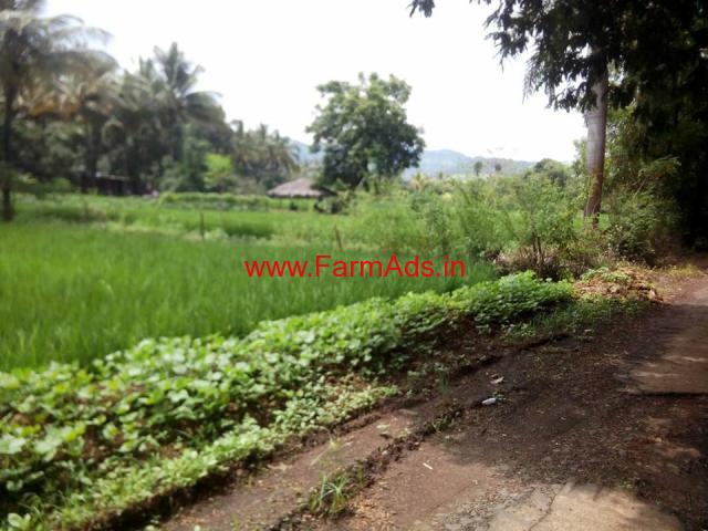 2 Acre Farm land for sale in Mandavi - Pune Pune - FarmAds.in