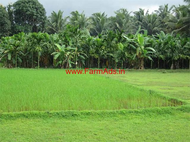 3 acre agriculture farm land available for sale in Nitte village ...