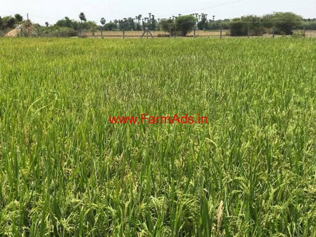 7 Acres Agriculture land for sale at Uthiramerur Uthiramerur ...
