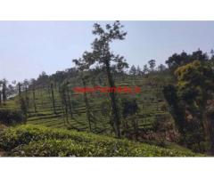 20 acre tea estate for sale in periya, Wayanad Wayanad - FarmAds.in
