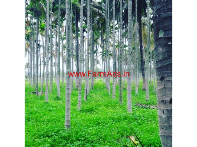 5.2 Acres Coconut and Arecanut plantation for sale in chikkamagaluru ...