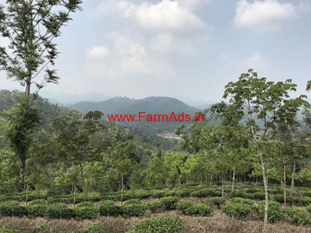 22 Acres Tea Estate for sale, 6 KM from Periya town at Wayanad. Wayanad ...
