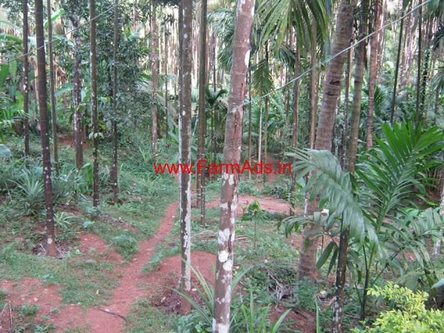 4.65 acres Record + 2 acres Kumki Farm land for sale at Vitla, Puttur ...