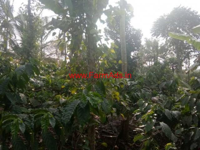 4 Acres maintained coffee farm land for sale near Mananthavady ...