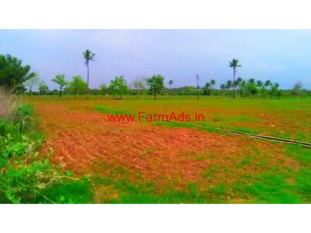 99 Acres Agricultural Farm land for sale, 50 KMS from Pollachi Pollachi ...