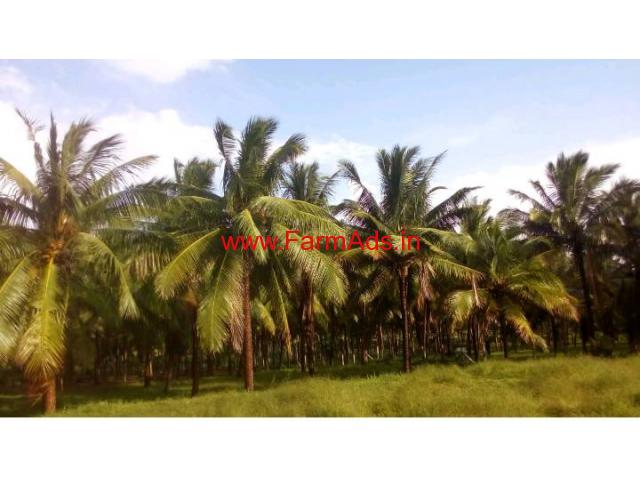 7 Acre Coconut Farm for sale on Pollachi to coimbatore main road ...