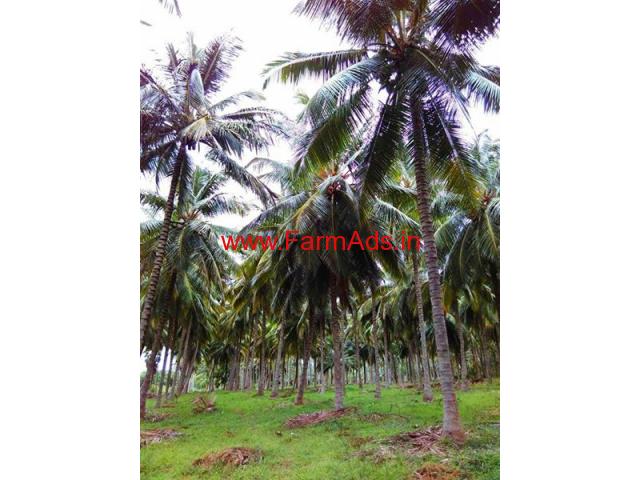 23 Acre Coconut Farm with Farm House for sale at Pollachi Pollachi ...
