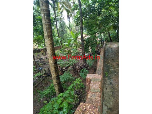 18 cents land and one old house for sale near kuttar. Mangalore ...