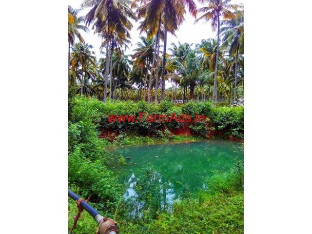 8 acer good yield Coconut Farm Sale at pollachi, near palakkad Road ...