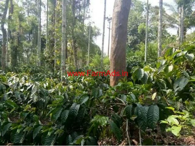 1 acre coffee farm land for sale near Kattikulam Mananthavady - Wayanad ...