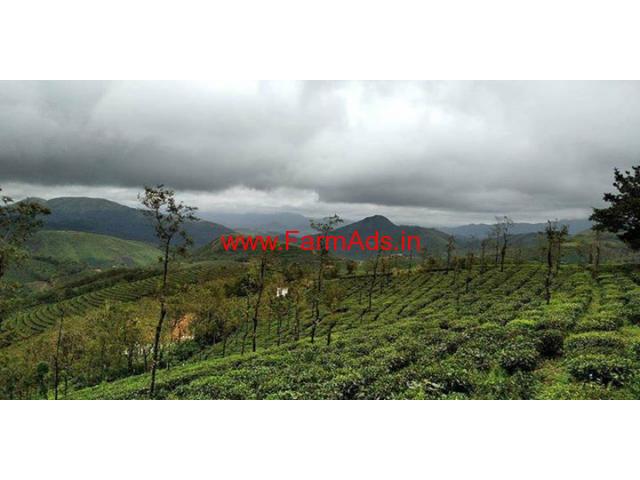 3 acre Tea estate for sale near Vagamon Kottayam - FarmAds.in