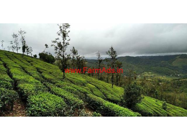 3 acre Tea estate for sale near Vagamon Kottayam - FarmAds.in