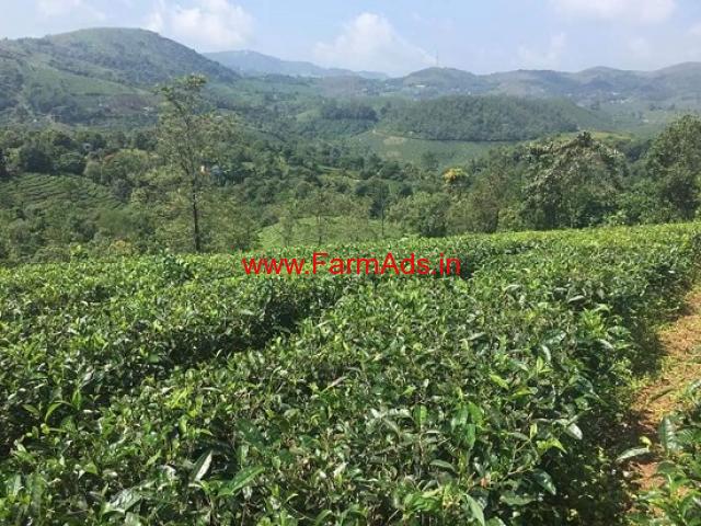 50 cents Tea estate for sale near Vagamon Coimbatore - FarmAds.in