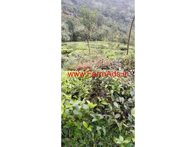1 acre Tea estate for sale in Vagamon Coimbatore - FarmAds.in