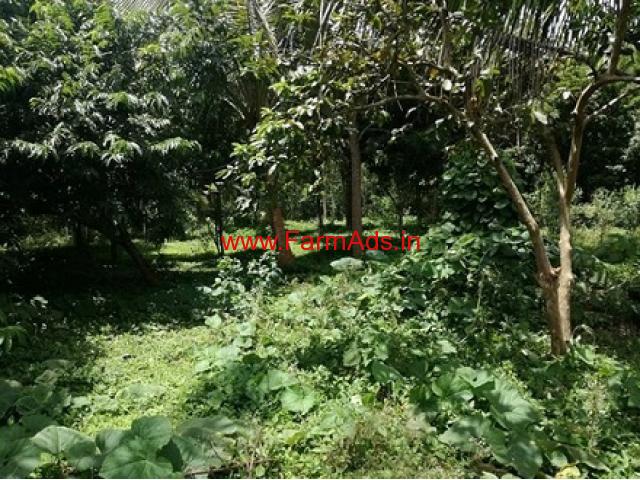 3 acres Coffee estate for sale at Cherambane, near Madikeri Madikeri ...