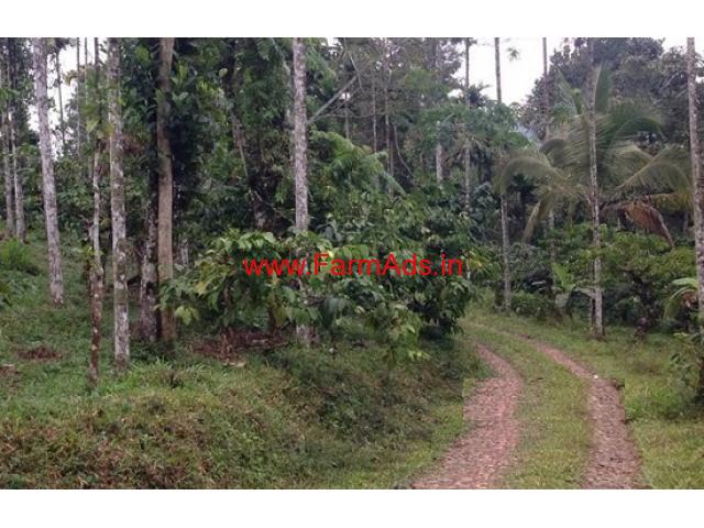 70 cent coffee farm land for sale in Ammani, Neervaram Wayanad - FarmAds.in