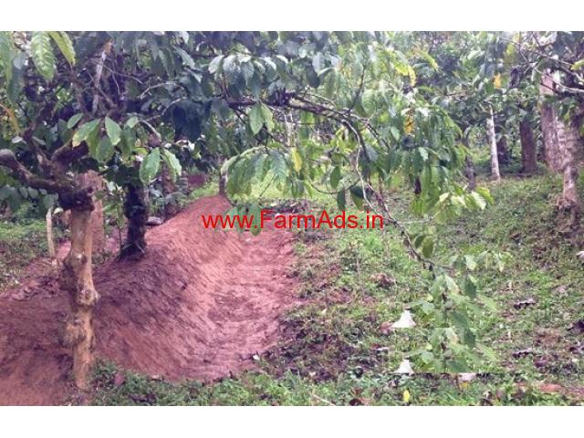 70 cent coffee farm land for sale in Ammani, Neervaram Wayanad - FarmAds.in