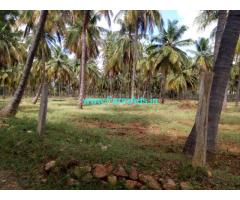 4 Acres coconut, arecanut plantation Farm for sale near Hiriyur Hiriyur ...
