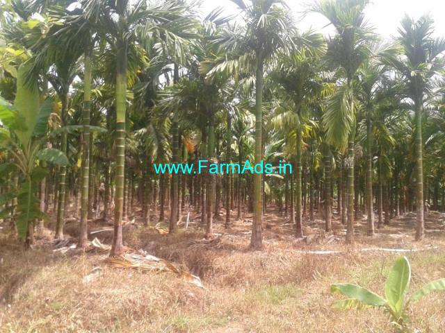 10 Acres Areca nut plantation for Sale near Naravi Beltangadi - Dakshin ...