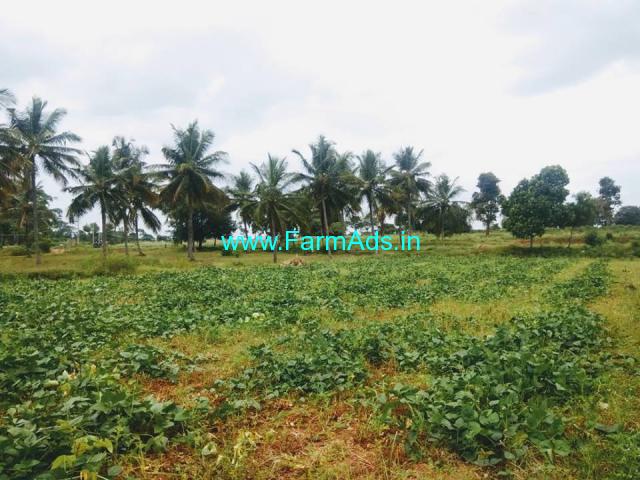 3 Acres 4 Guntas Farm land for sale on Bogadi to Gaddige Road. Mysore ...