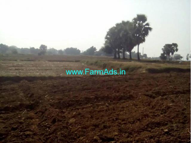 50 Bigha Land for Sale near Anandpur, Bihta-Maner Road Patna - FarmAds.in