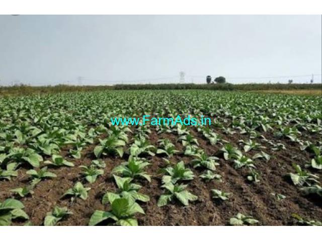 5 Acres Metta Agricultural land for Sale near Gannavaram Prakasam ...