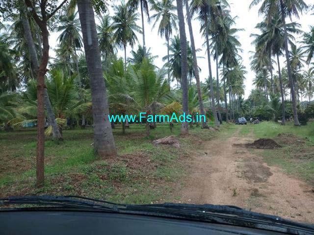 43 acres of farm land is for sale in Kabbahalli near Begur , Mysore ...