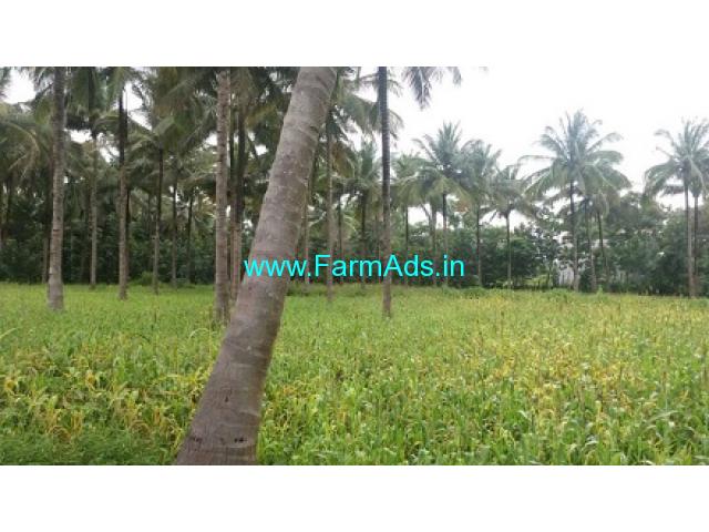2.5 Acres Coconut Farm with Farmhouse for Sale near Pollachi,Main Road ...