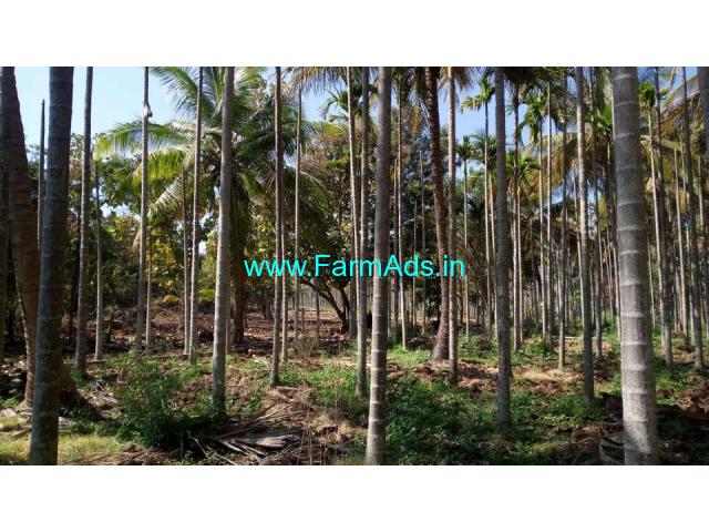 2.13 acre arecanut and coconut plantation for sale in Lingadahalli ...