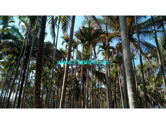 2.13 acre arecanut and coconut plantation for sale in Lingadahalli ...