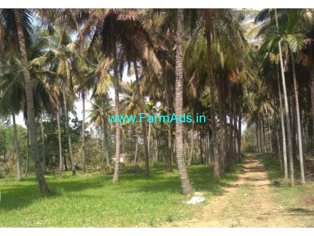 4 acres Coconut Farm for sale in Soldevanahalli, 10 KMS from ...