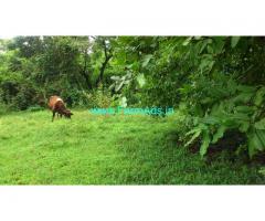 6300 Sq mt Cashew Plantation for Sale in Ibrampur,Pernem,Mopa Airport ...