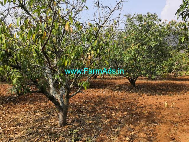 1 Acres 8 Guntas Mango farm for sale at Rayakotta Denkanikottai ...