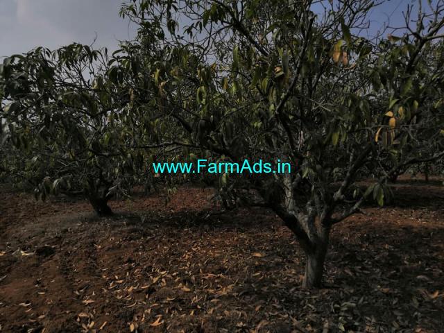 1 Acres 8 Guntas Mango farm for sale at Rayakotta Denkanikottai ...