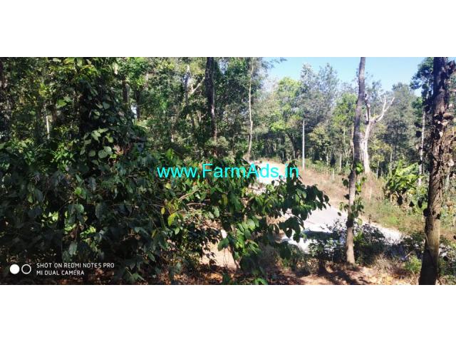 6 acre coffee estate for sale in sakaleshpura - Arehalli main road ...