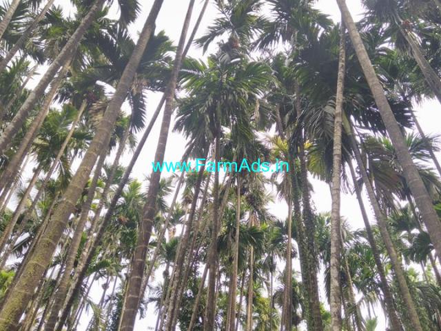 3.5 acre well maintained Areca nut Plantation with house for sale in ...