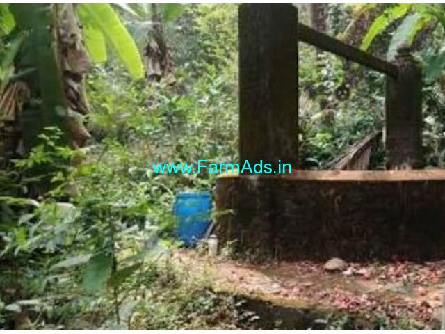 16 cent square shaped house plot for sale Alakode town Kannur - FarmAds.in