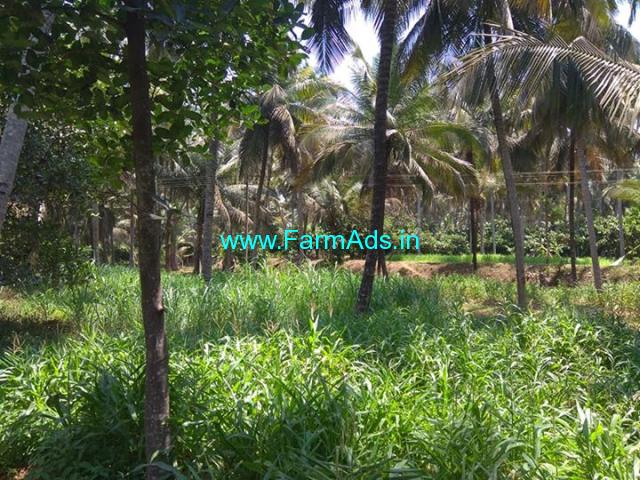 7 Acres Coconut Farm for Sale near Pollachi Pollachi - Coimbatore ...