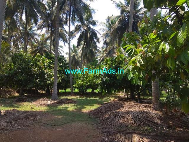 7 Acres Coconut Farm for Sale near Pollachi Pollachi - Coimbatore ...