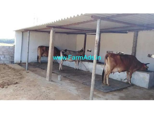 Dairy Farm with Land for Rent near Peda Narava Visakhapatnam - FarmAds.in