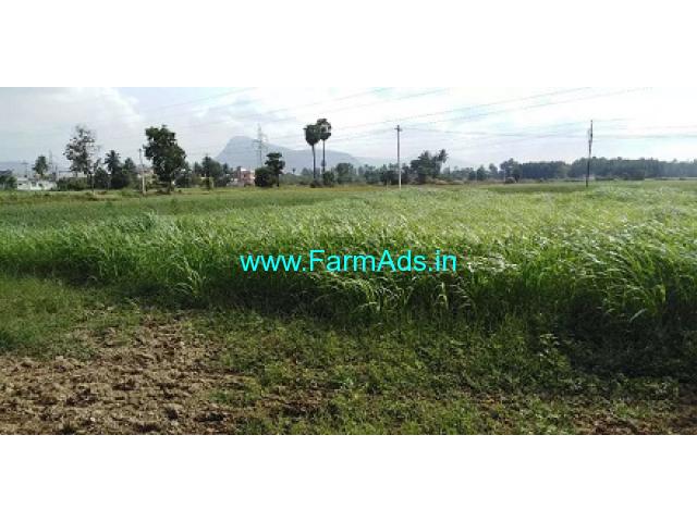 Dairy Farm with Land for Rent near Peda Narava Visakhapatnam - FarmAds.in
