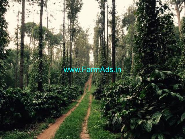 20 Acres Coffee Estate for Sale at DevarShola Ooty (Udhagamandalam ...