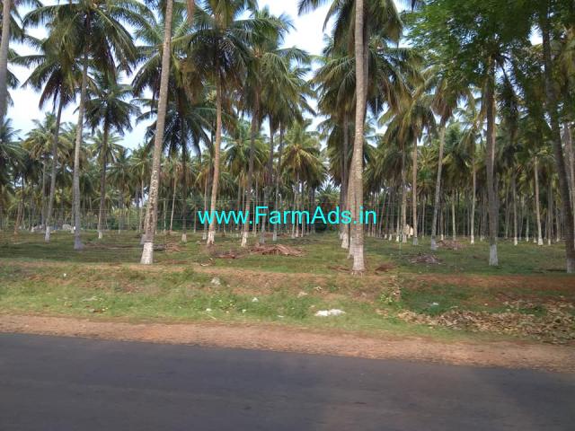 15 Acres Coconut Farm for Sale at Pollachi Sub-District Pollachi ...