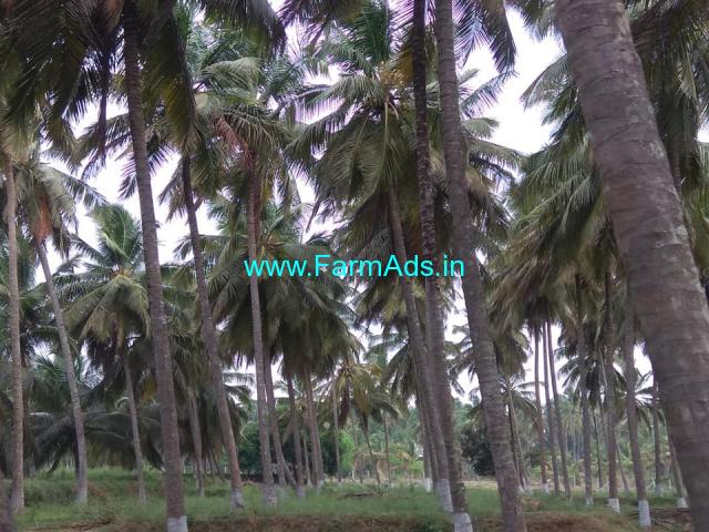 15 Acres Coconut Farm for Sale at Pollachi Sub-District Pollachi ...