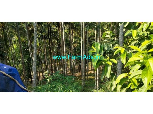 84 Cents Farm Land with House for Sale at Mannarkkad Anakati Main Road ...